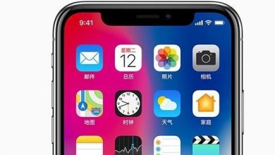 iPhone X first teardown shows its (L-shaped) dual battery - MyFixGuide.com